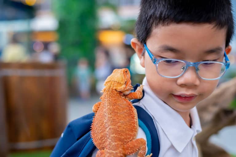21 Best Pets For Kids (By Age Range) - The Pet Savvy