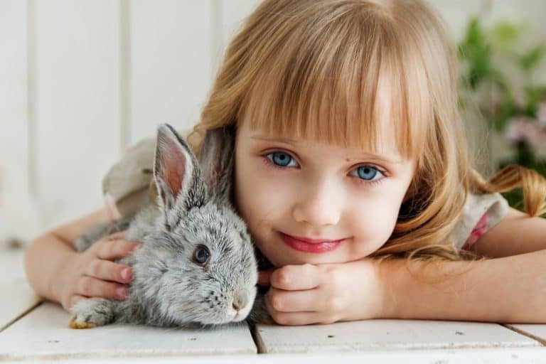 21 Best Pets For Kids (By Age Range) - The Pet Savvy