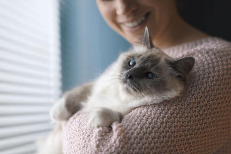 15 Best Small Pets That Like to Cuddle - The Pet Savvy
