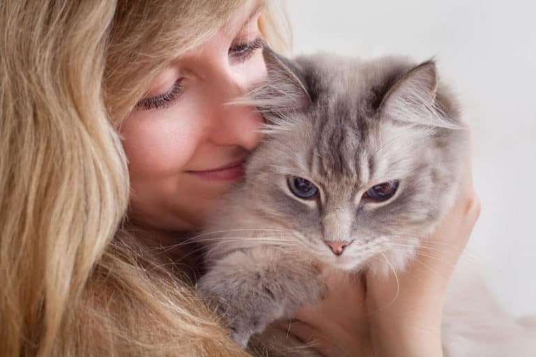 15 Best Small Pets That Like to Cuddle - The Pet Savvy