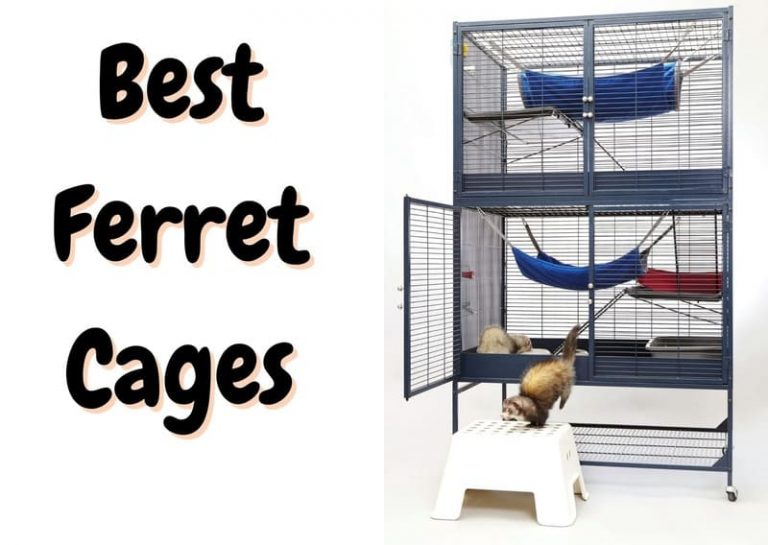 12 Best Cages for Ferrets [2023 Update] - The Pet Savvy