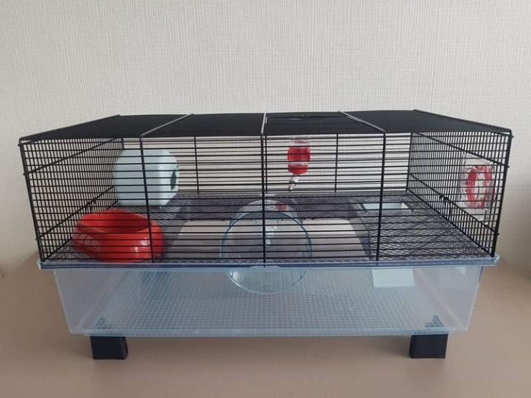 Ferplast Favola Cage Review [TRIED & TESTED] - The Pet Savvy