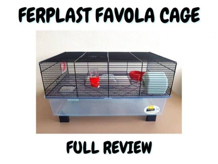 Ferplast Favola Cage Review [TRIED & TESTED] - The Pet Savvy